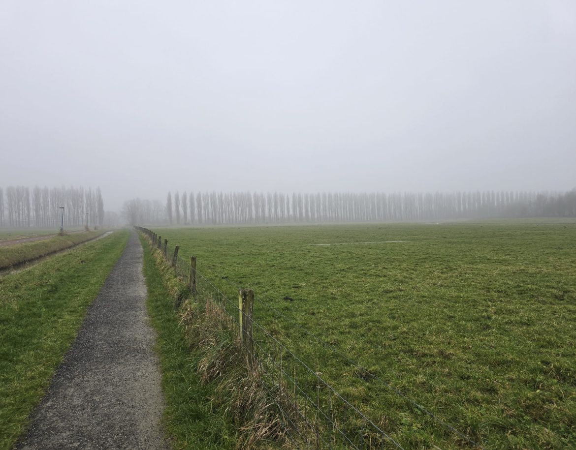 Dit is december 2025 – Debbie van der Zande